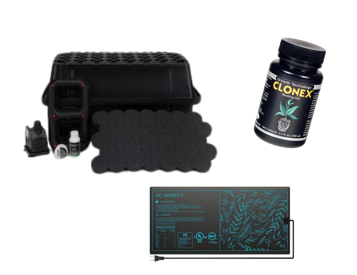 Seed Starting & Cloning – MASS Hydroponics