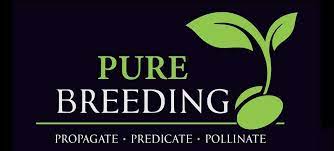 Pure Breeding – MASS Hydroponics