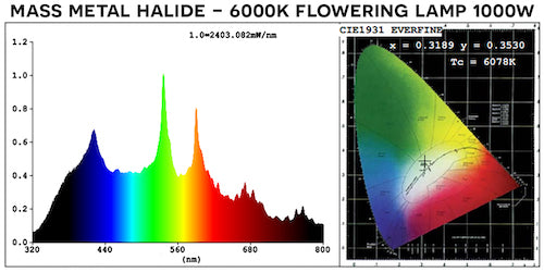 Mass Metal Halide 600 Watt Bulb – MASS Hydroponics