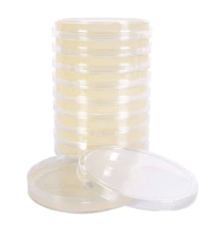 Pre-Poured Sterile Agar Plates for Mushroom Cultures – MASS Hydroponics