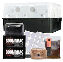 'Boomr Bin' Monotub Mushroom Grow Kit – MASS Hydroponics