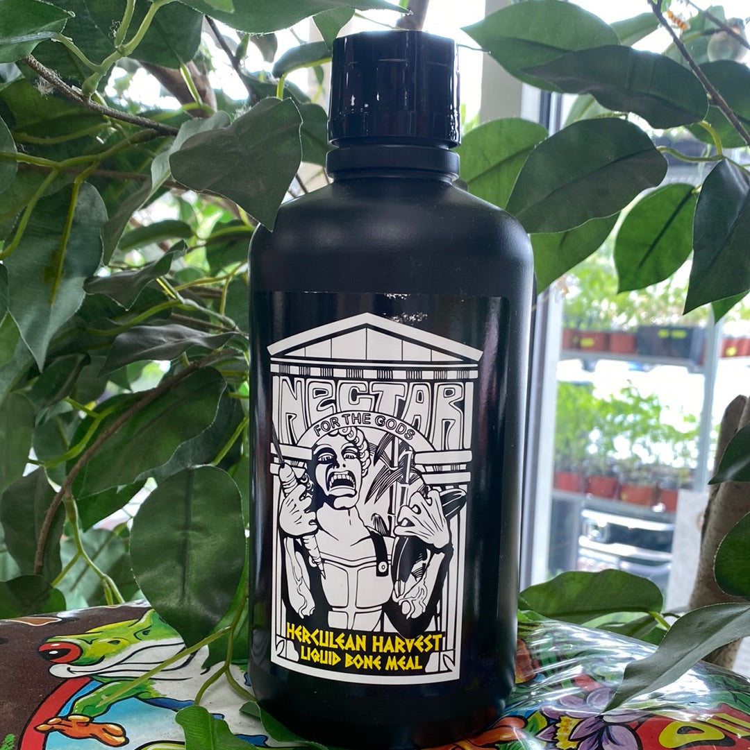 Nectar for the Gods Herculean Harvest – MASS Hydroponics